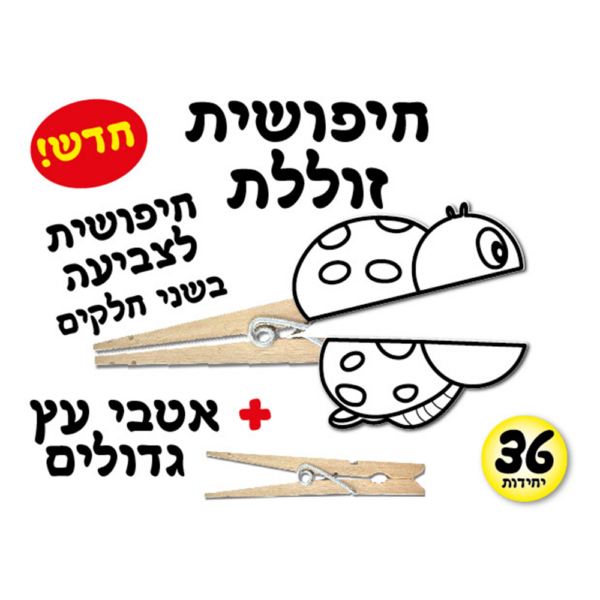 מארז 36 יחי' חיפושית לצביעה ויצירה | גבע ציוד לגני ילדים